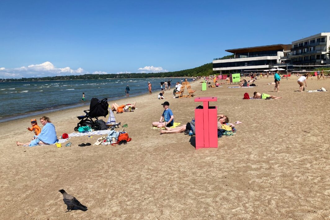 Seværdigheder i Tallinn: Guide til de 15 bedste oplevelser (2025)