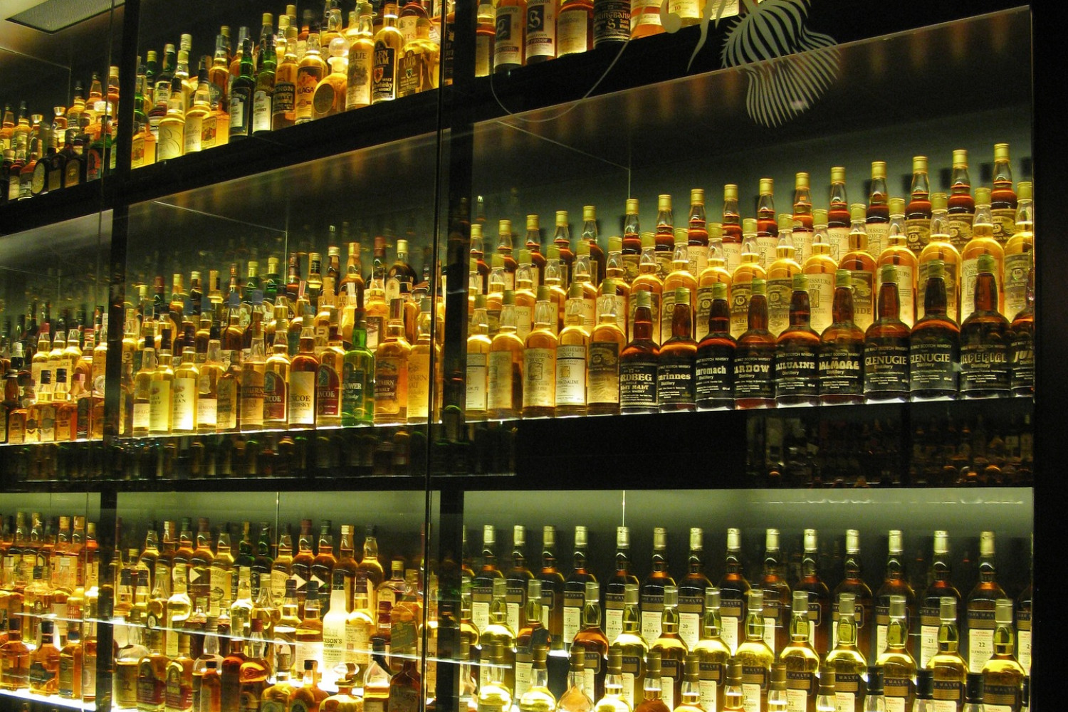 Edinburgh: 20 MUST-SEE seværdigheder og attraktioner (2025)